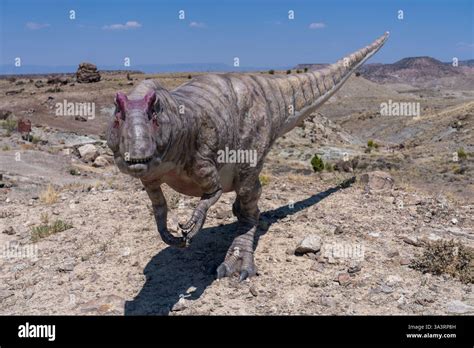 An Allosaurus Model At The Cleveland Lloyd Dinosaur Quarry Jurassic