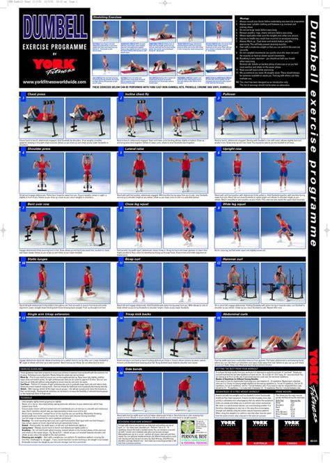 Dumbbell Exercise Chart Pdf Dumbbell Workout Routine Bowflex Workout Best Dumbbell Exercises