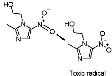 The Adenylate Cyclase Activity And Camp Content Is Shown In Kupffer