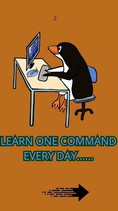 Learn One Command Every Day 2 Linux Linuxcommandline Youtube