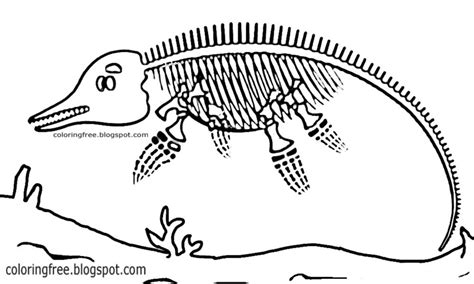 Ichthyosaurus Coloring Page