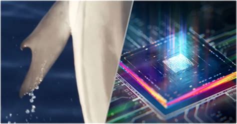 Quantum Computing Leaps Forward With IBMs Chip