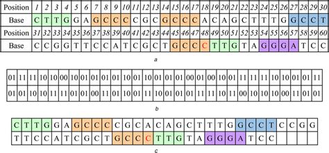 A Simple Example Illustrating Dna Sequence Representation A Short