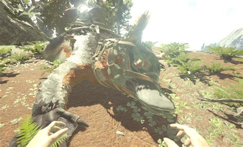 Really Pretty Maewing Rark