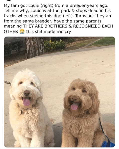 Sibiling Reunited R Wholesome