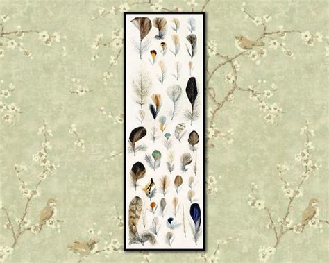 Feather Identification Chart Uk