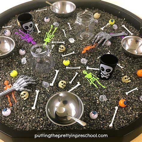 Skeleton Sunflower Seed Bin