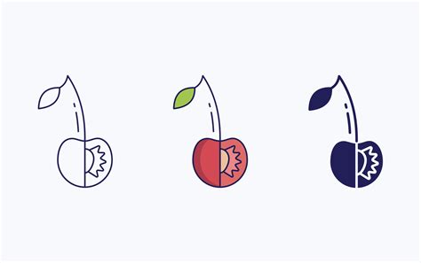 Cherry Cut And Sliced 17055003 Vector Art At Vecteezy