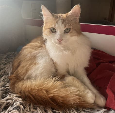 Leo And Tabitha Letsbe Smart Greece