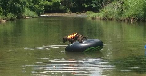 Toobin Album On Imgur