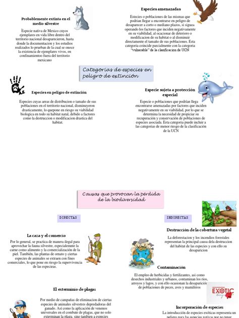 Peligro De Extincion Pdf Especie En Peligro Extinción