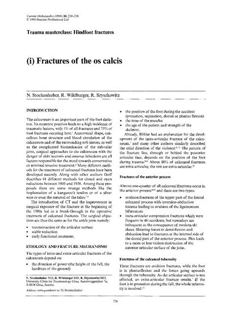 Pdf I Fractures Of The Os Calcis Dokumen Tips