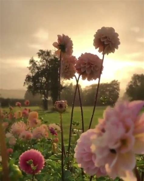 If Its Out Of Your Hands It Deserves Freedom From Tumbex