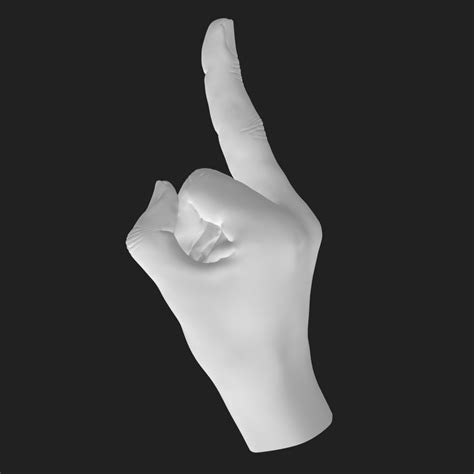 The Finger Flip Off Middle Finger Hand Gesture・ Stl File For 3d