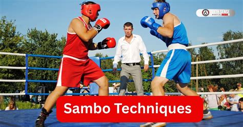 Learn Sambo Techniques That Beginners Can Start Today
