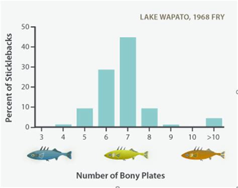 Natural Selection Graph
