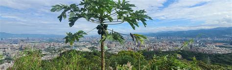 Datong Mountain 5 Reviews Map New Taipei City Taiwan Alltrails