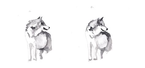 Filson “wolf” Slow