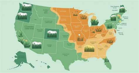 Best Grass Types For Landscaping How To Choose The Right One