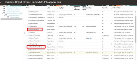 In Which Table Does The Candidate Job Application Fields Are Stored — Cloud Customer Connect