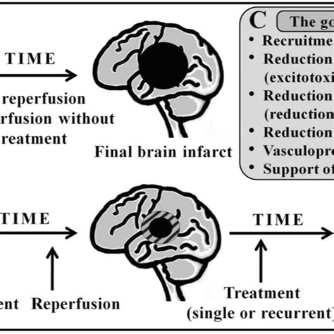 The Time Course Of Spatio Temporal Infarct Evolution Without A And