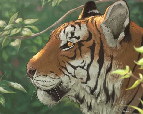 Tiger In The Woods By Kaithel On Deviantart Tiger In The Woods By Kaithel On Deviantart