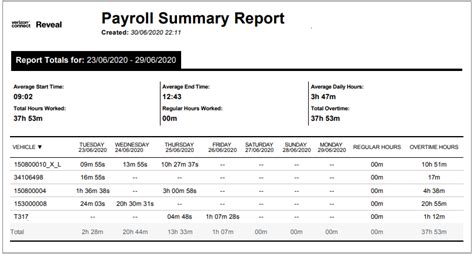 Payroll Summary Report Reveal Help