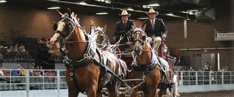 Iowa State Fairgrounds Livestock Shows