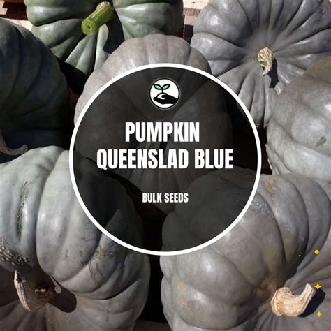 Vegetables Pumpkin Queensland Blue Bulk Deals For Sale In