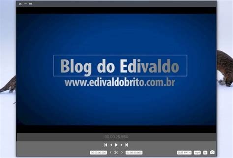 Como instalar o editor de vídeos LosslessCut no Linux via Snap