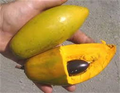 Mamey Amarillo Ecured