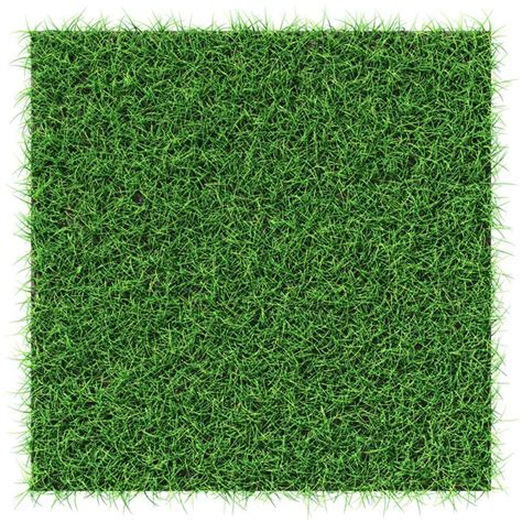 Premium Photo Grass Shape Design Element Isolated