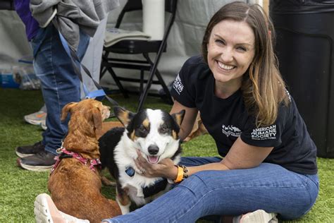 National Adopt a Shelter Pet Day - American Humane Society