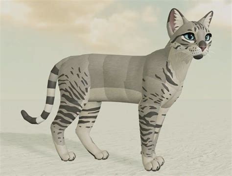 Warrior Cats Roblox Gatos Guerreiros Gatos Desenho De Inspiração