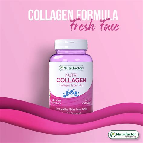 All You Need To Know About Collagen Nutrifactor