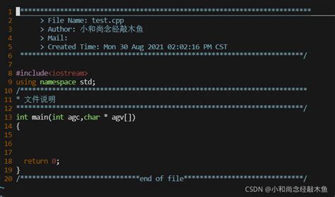 Ubuntu Vim配置参考ubuntu Lazy Nvim Csdn博客