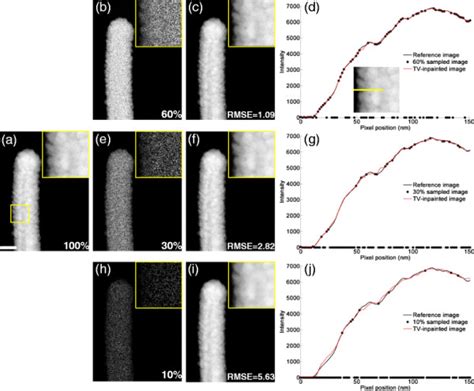 Downsampling By Simulated Random Scanning Of The Full Frame Image A Download Scientific