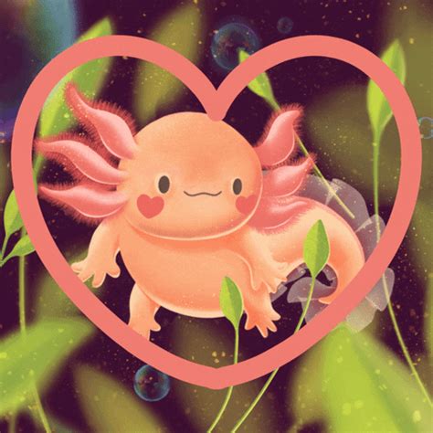Axolotl S