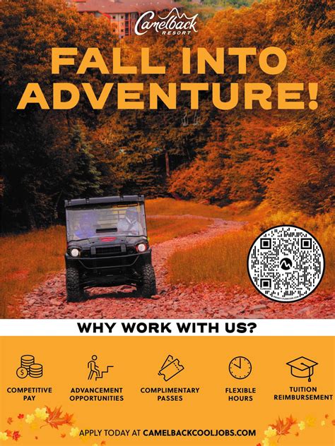 Tim Bayer Posted On Linkedin