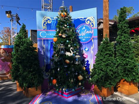 5cinderella Tree The Unofficial Guides