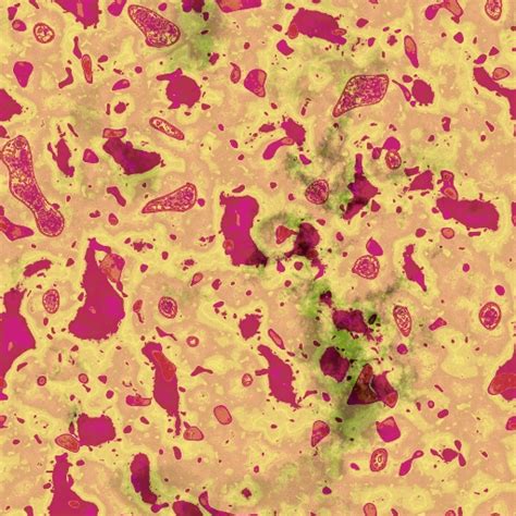 Exima Rock Texture Diffuse Map