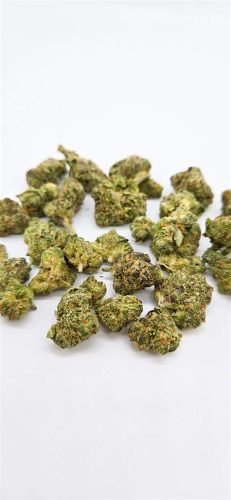 Blue Nerdz Smalls Indoor Hybrid Flw