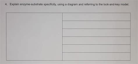 4 Explain Enzyme Substrate Specificity Using A