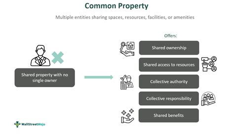 Common Property What Is It Examples Vs Private Property