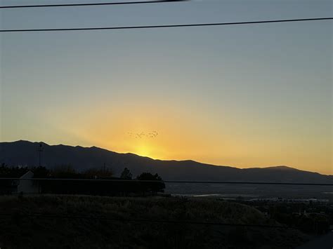 Sunset Migration Rlogan