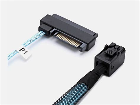 Disks Connected To Lsi 9361 8icontroller Using A Hba Sff 8643 To Sff