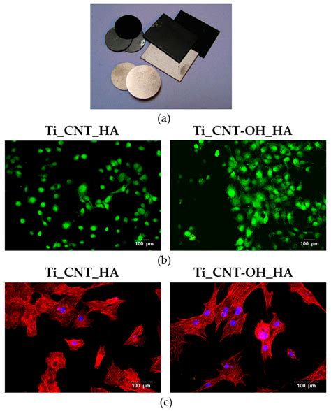Osteoconductive And Osteoinductive Surface Modifications Of