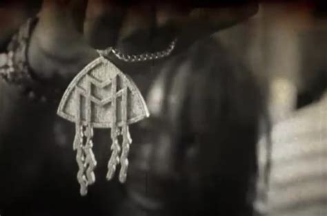 Video Wale Bait Complex