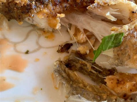 30 Restaurant Guests Share The Most Disgusting Things Theyve Seen And