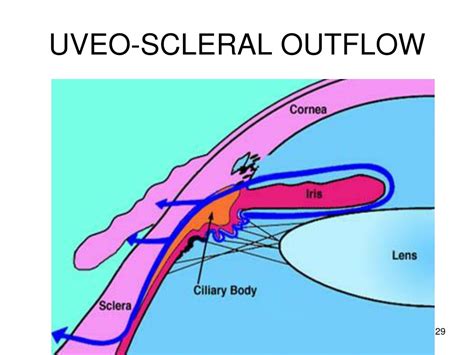 Ppt Primary Open Angle Glaucoma Poag For Effective Management Powerpoint Presentation Id